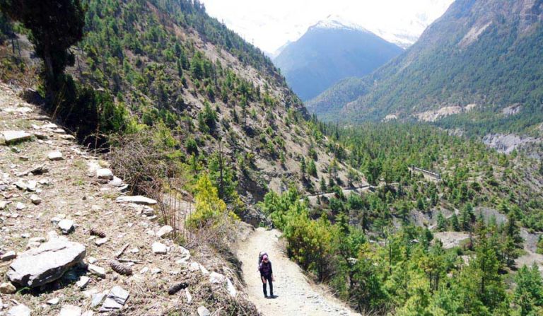 Nepal Backpacking: Route, Kosten, Reisetipps & Highlights!