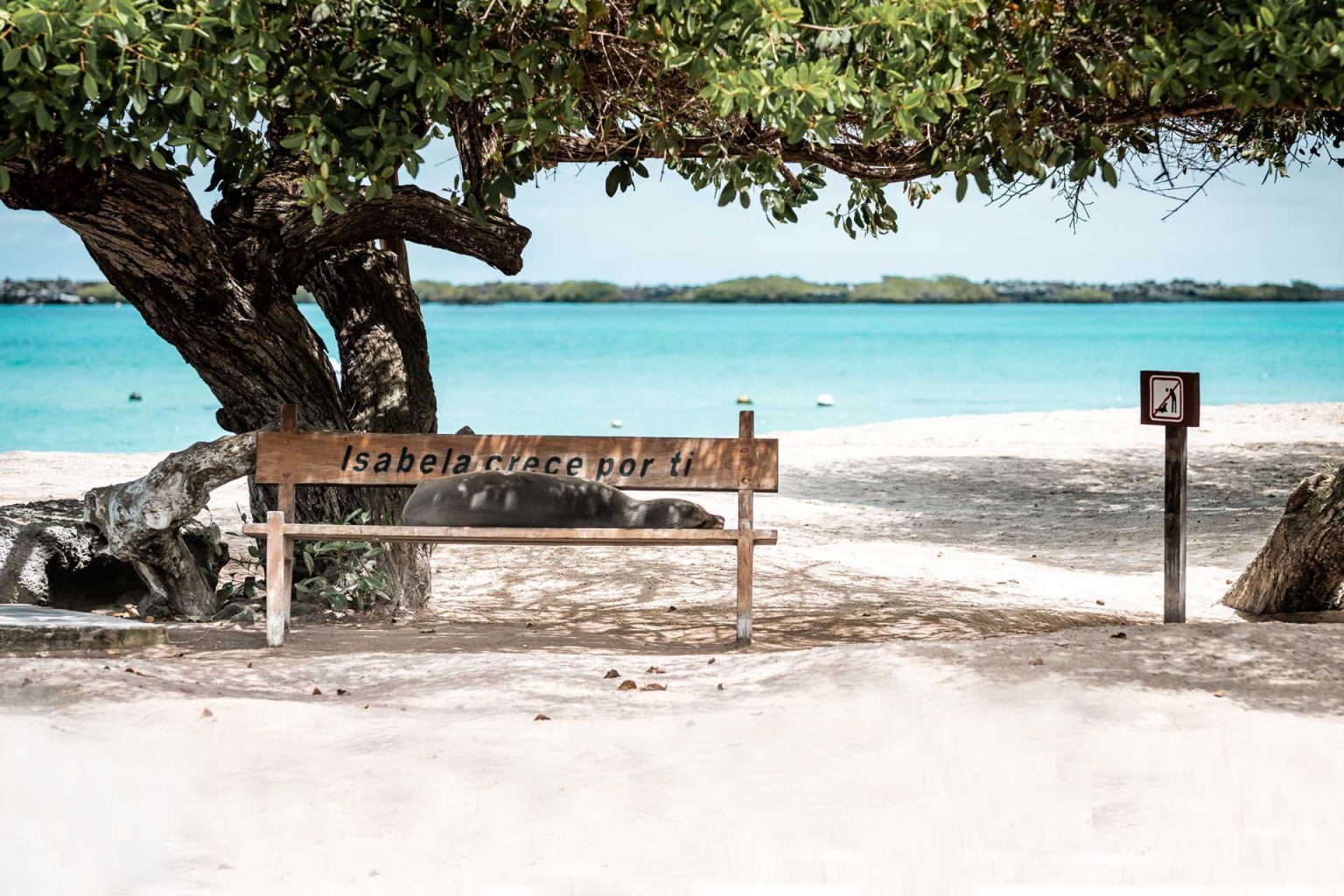 Galapagosinseln: Top 10 Sehenswürdigkeiten & Reisetipps