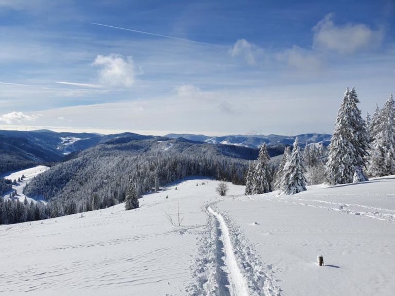 Elegantes Schne Stdte Im Schwarzwald Bilder