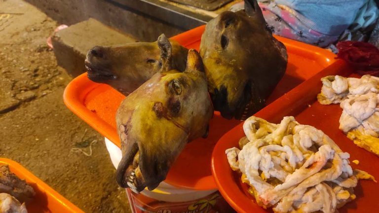 Peruanisches Essen: Kulinarische Highlights von Peru