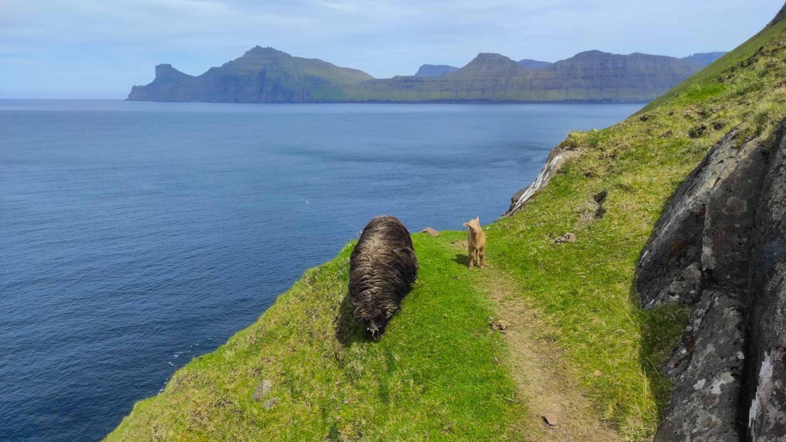 Färöer Inseln: Alles was du wissen musst - Die besten Highlights